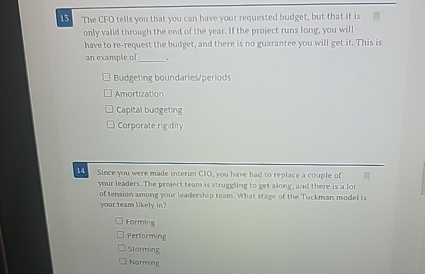 Solved The CFO tells you that you can have your requested | Chegg.com
