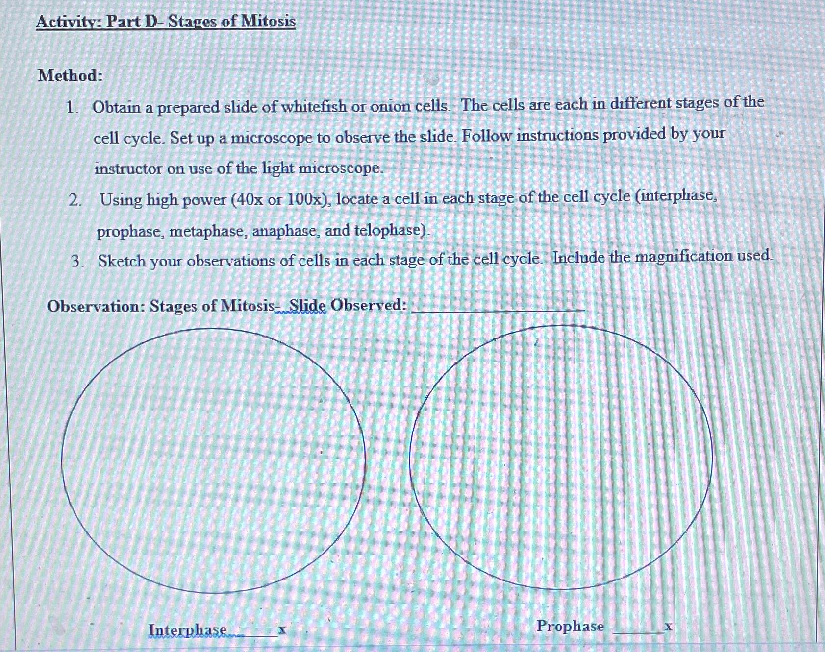 Solved Activity: Part D- ﻿Stages of MitosisMethod:Obtain a | Chegg.com
