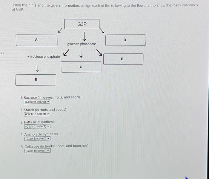 Solved Using the hints and the given information, assign | Chegg.com Solved Using the hints and the given information, assign | Chegg.com