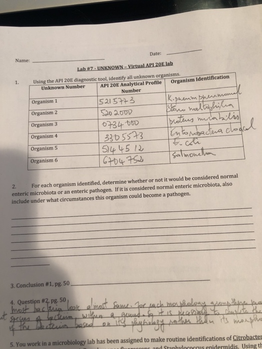 Name: Date: Lab 7 - UNKNOWN - Virtual API 20E lab 1. | Chegg.com