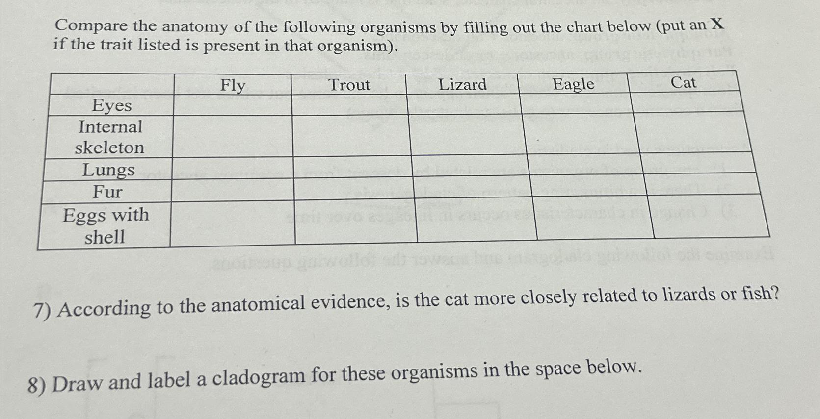 Solved Compare the anatomy of the following organisms by | Chegg.com