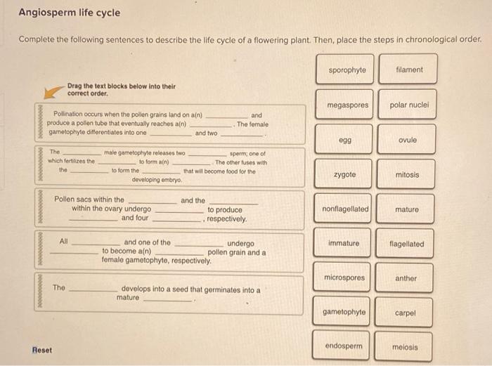 Solved Angiosperm life cycle Complete the following | Chegg.com