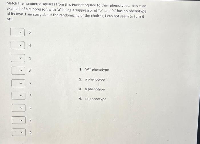 Solved Question 7 (1 point) Match the numbered squares from | Chegg.com