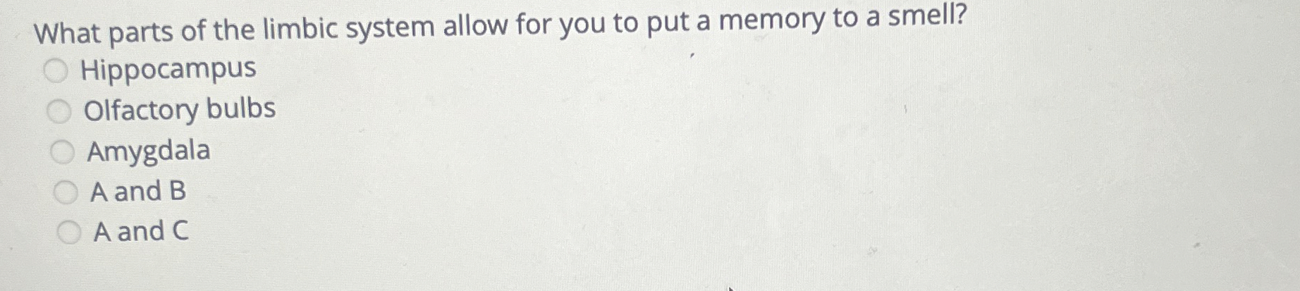 Solved What parts of the limbic system allow for you to put | Chegg.com