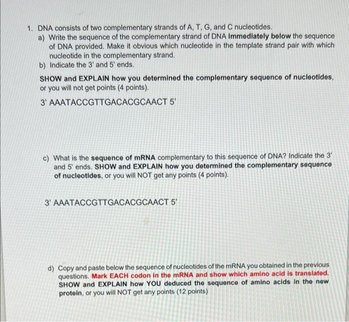 Solved 1. DNA consists of two complementary strands of A, T, | Chegg.com