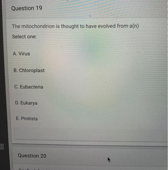 Solved Question 18 Multicellularity appears to have evolved | Chegg.com