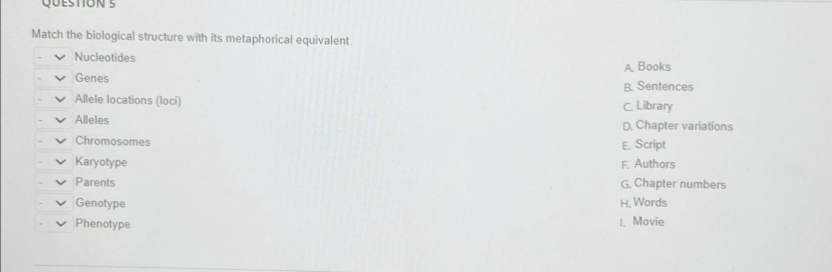 Solved Match the biological structure with its metaphorical | Chegg.com
