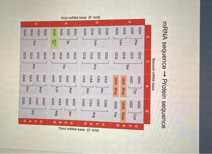 Solved Allele Profile Hemophilia B, Allele H2 Mutations \& | Chegg.com