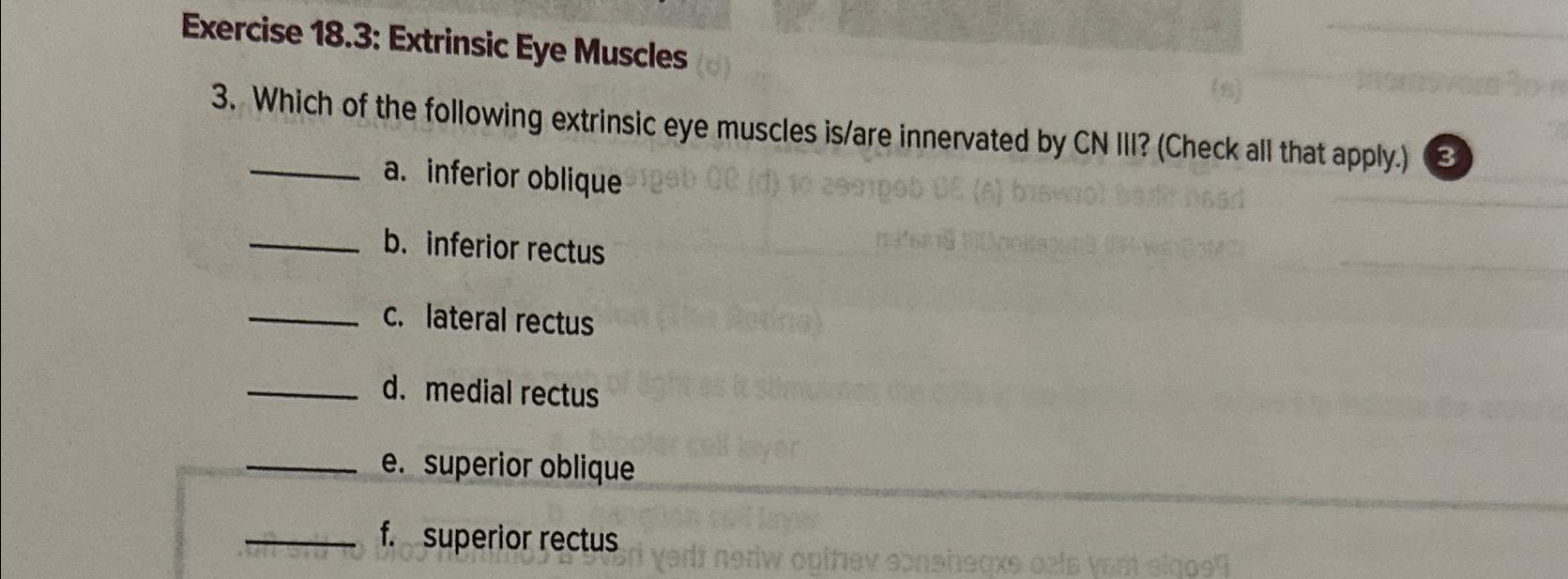 Solved Exercise 18.3: Extrinsic Eye Muscles3. ﻿Which of the | Chegg.com