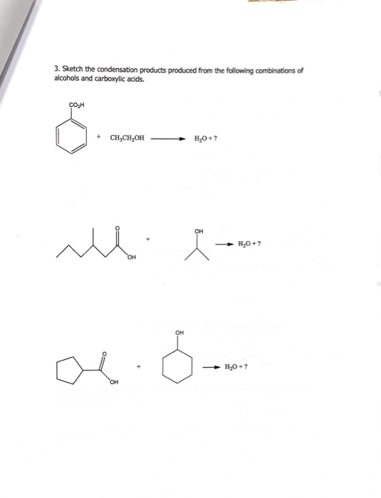 Solved Molecular Model Activity Condensation Reactions 2. | Chegg.com