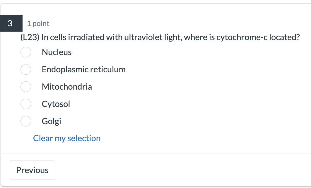Solved 31 ﻿point(L23) ﻿In cells irradiated with ultraviolet | Chegg.com