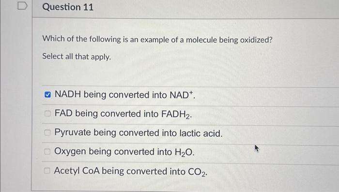 Solved Which of the following is an example of a molecule | Chegg.com