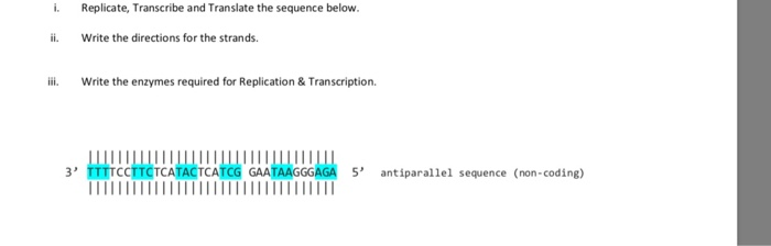 Solved Replicate, Transcribe and Translate the sequence | Chegg.com Solved Replicate, Transcribe and Translate the sequence | Chegg.com