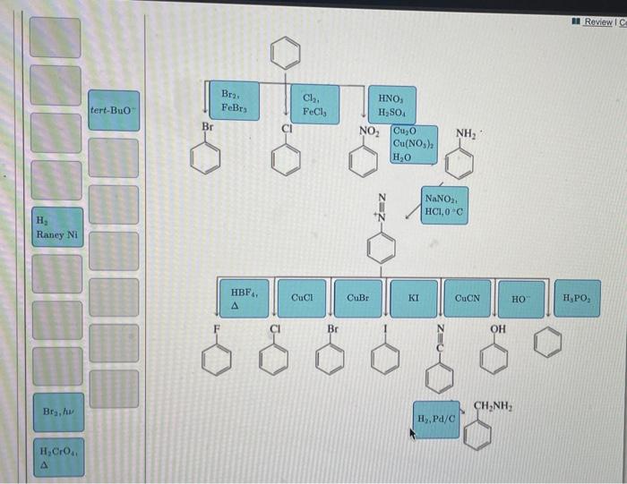 Solved 1 Review Bra CI. FeCl, FeBry HNO H2SO4 tert-Buo Br NO | Chegg.com