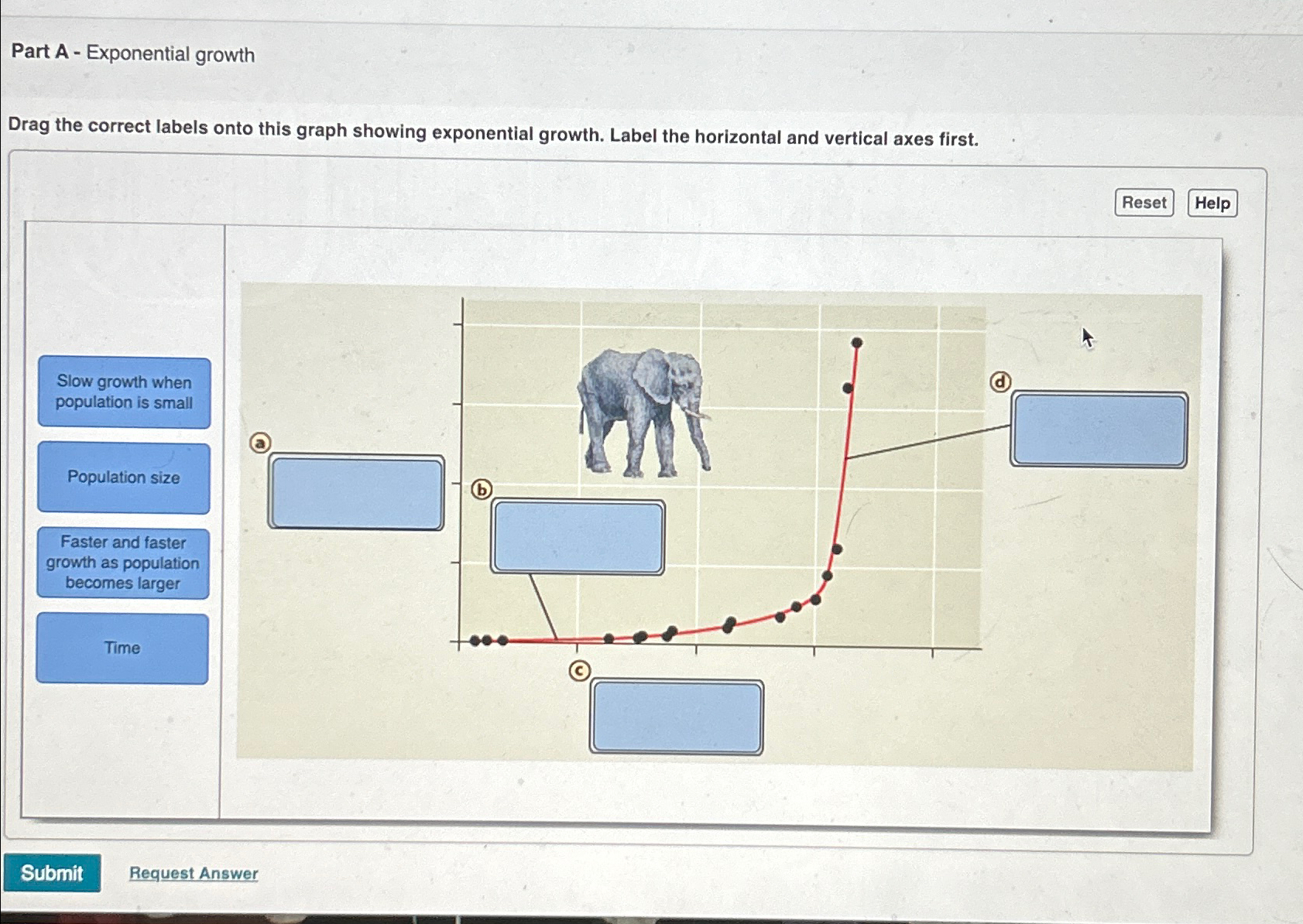 Solved Part A - ﻿Exponential growthDrag the correct labels | Chegg.com