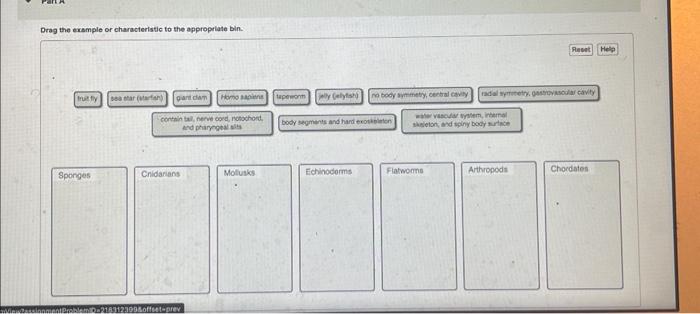 Solved Drag the exsmple or characteristic to the appropriate | Chegg.com