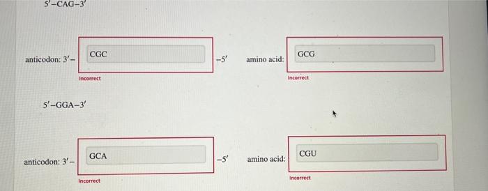 Solved For each codon, provide the anticodon and the | Chegg.com