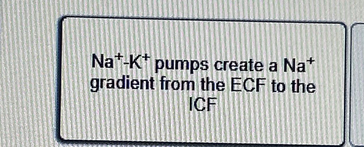Solved Na+-K+pumps create a Na+ ﻿gradient from the ECF to | Chegg.com