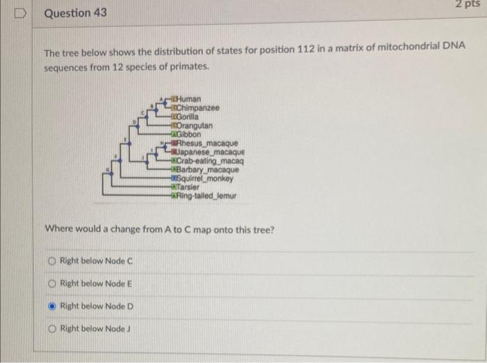 The tree below shows the distribution of states for | Chegg.com