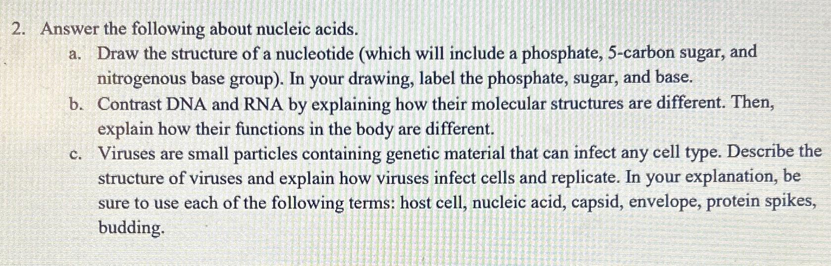 Solved Answer the following about nucleic acids.a. ﻿Draw the | Chegg.com