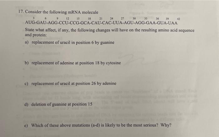 Solved 17. Consider the following mRNA molecule State what | Chegg.com