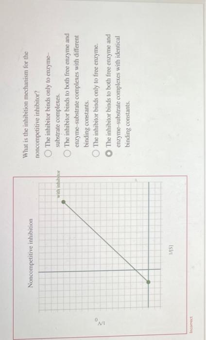 Solved A plot of 1/V0 versus 1/[S]. called a Lineweaver-Burk | Chegg.com