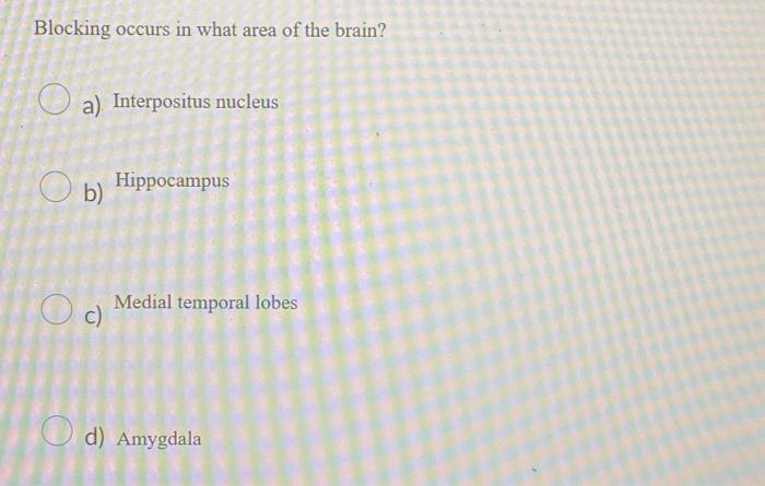 Solved Blocking occurs in what area of the brain? a) | Chegg.com