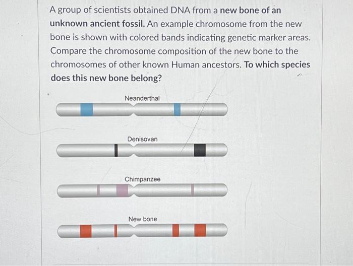 A group of scientists obtained DNA from a new bone of | Chegg.com