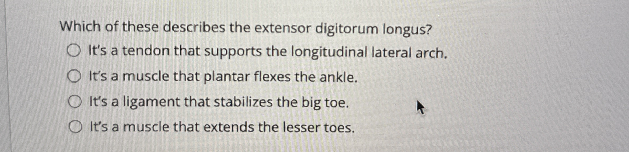 Solved Which of these describes the extensor digitorum | Chegg.com