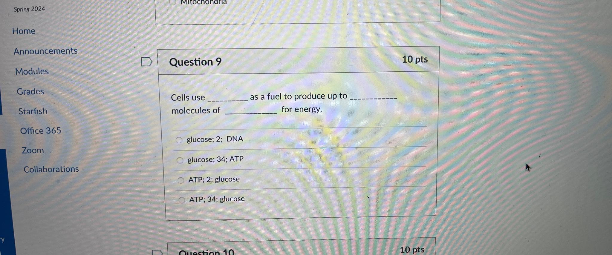 Solved Spring | Chegg.com