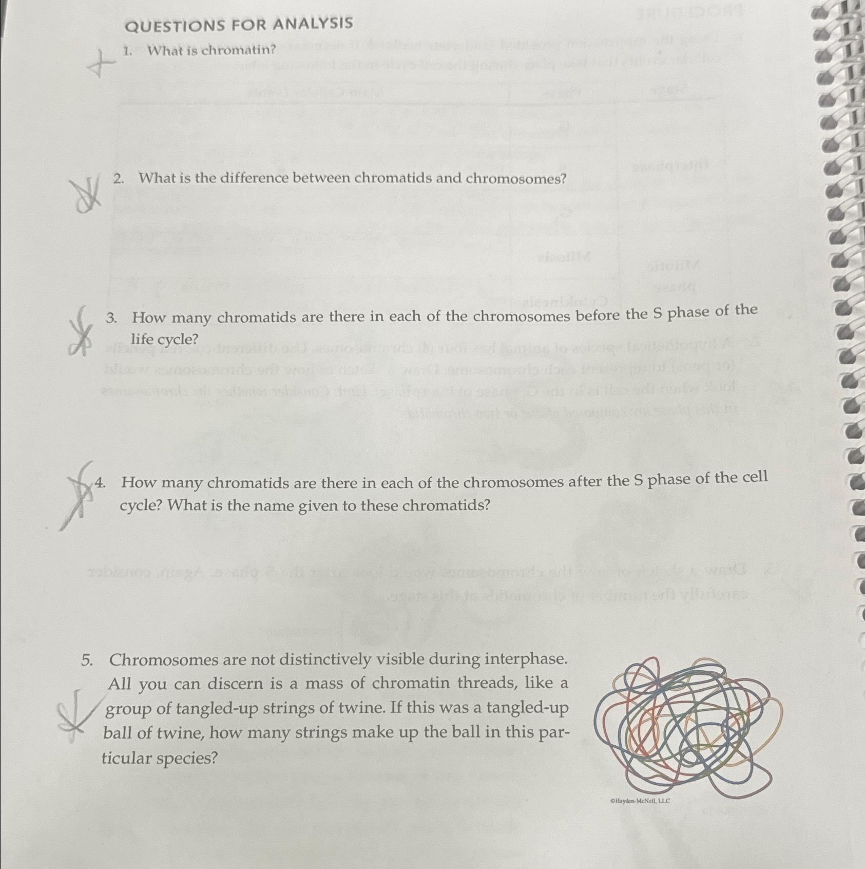 Solved QUESTIONS FOR ANALYSISWhat is chromatin?What is the | Chegg.com