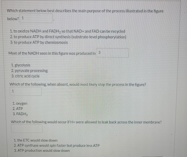 Solved Which statement below best describes the main purpose | Chegg.com