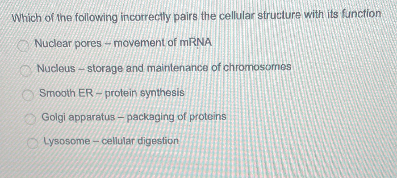 Solved Which of the following incorrectly pairs the cellular | Chegg.com