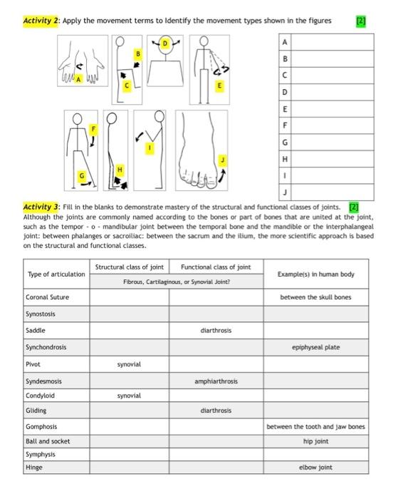 Solved Activity 2: Apply the movement terms to Identify the | Chegg.com