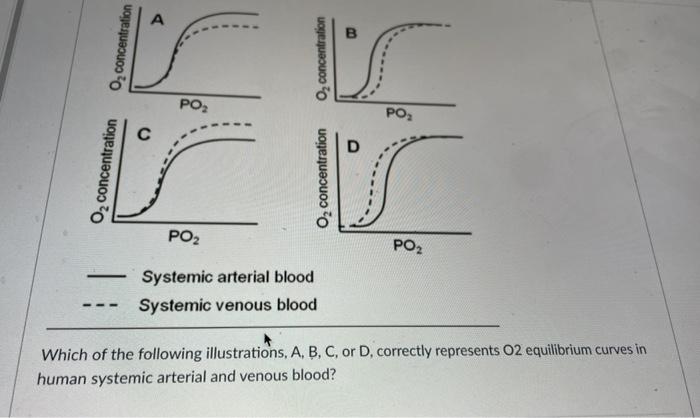 Solved Systemic arterial blood Systemic venous blood Which | Chegg.com