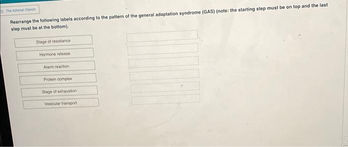 Solved Rearrange the following labels according to the | Chegg.com