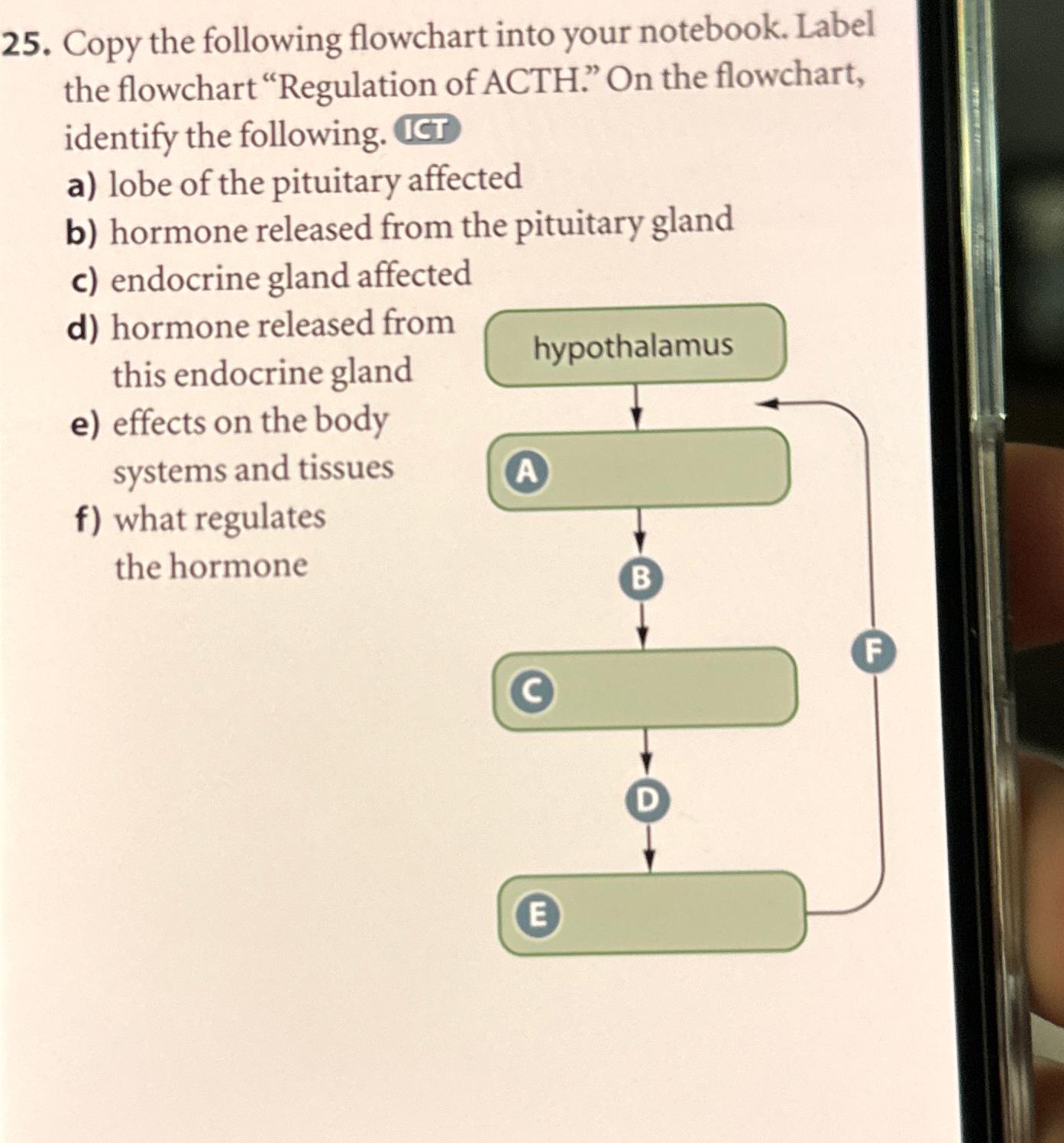 Solved Copy the following flowchart into your notebook. | Chegg.com