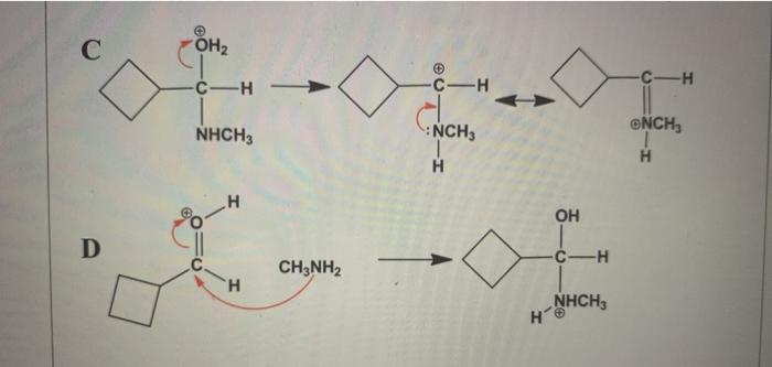 Solved NCH, pH 4.5 CH3NH2 + H H2O For the reaction above, | Chegg.com