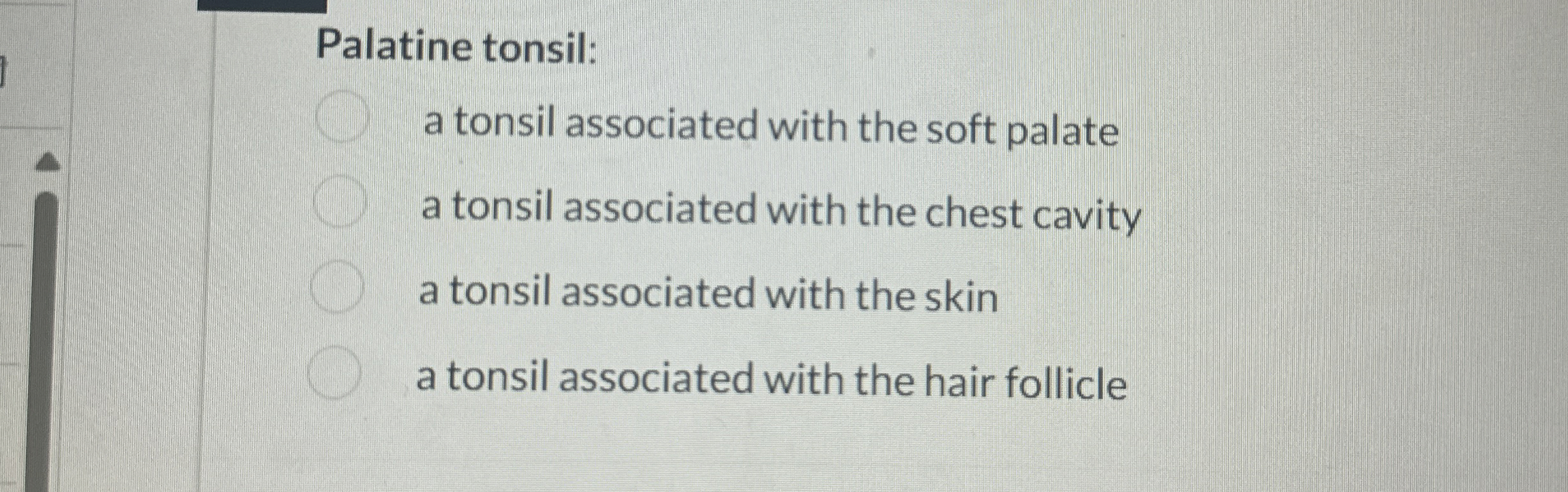 Solved Palatine tonsil:a tonsil associated with the soft | Chegg.com