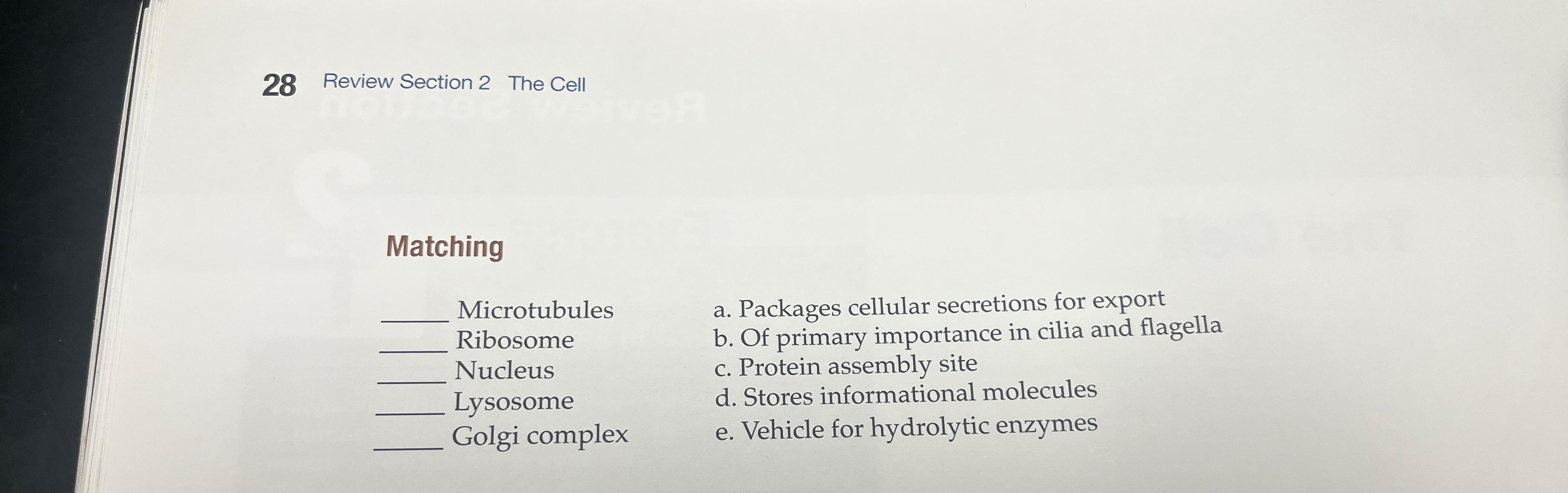Solved 28Review Section 2 ﻿The | Chegg.com