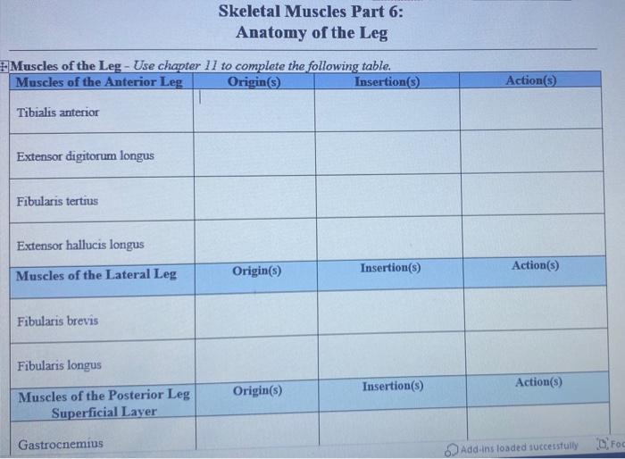 Solved Skeletal Muscles Part 6: Anatomy of the Leg Muscles | Chegg.com