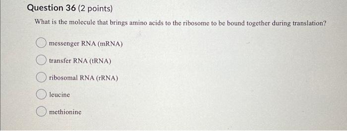 Solved What is the molecule that brings amino acids to the | Chegg.com