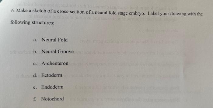 Solved 6. Make a sketch of a cross-section of a neural fold | Chegg.com