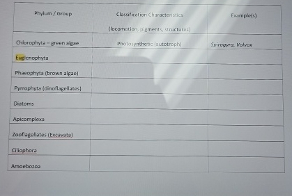 Solved \table[[Phylum / ﻿Group,\table[[Classification | Chegg.com