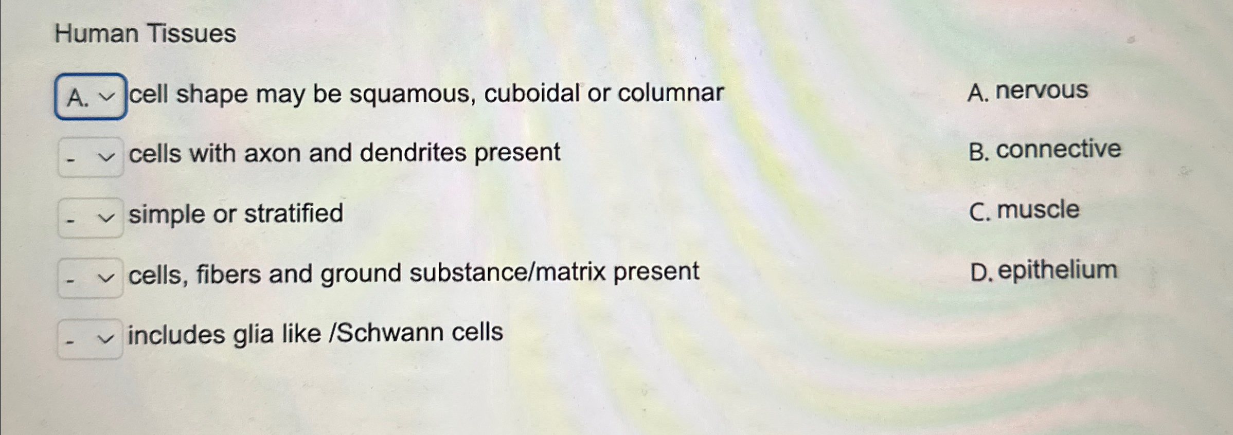 Solved Human Tissues ﻿cell shape may be squamous, cuboidal | Chegg.com
