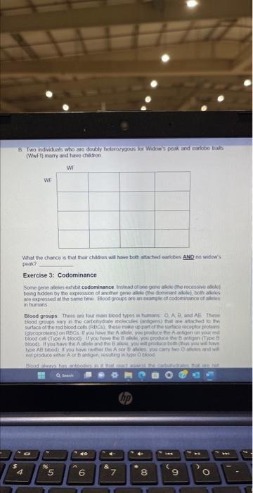 Solved I need this entire lab completed ive attached all | Chegg.com