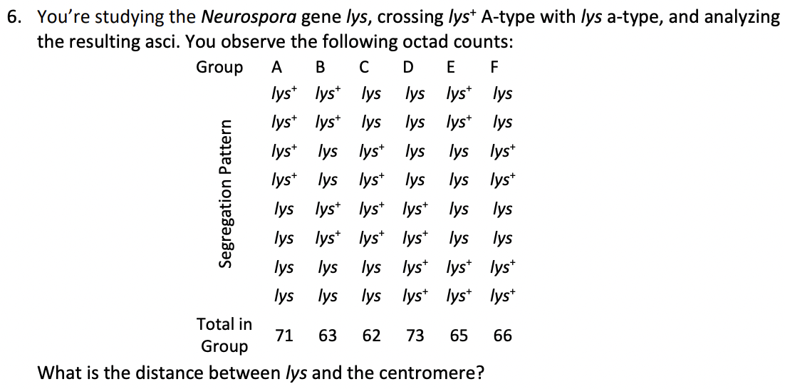 You're studying the Neurospora gene lys, ﻿crossing | Chegg.com