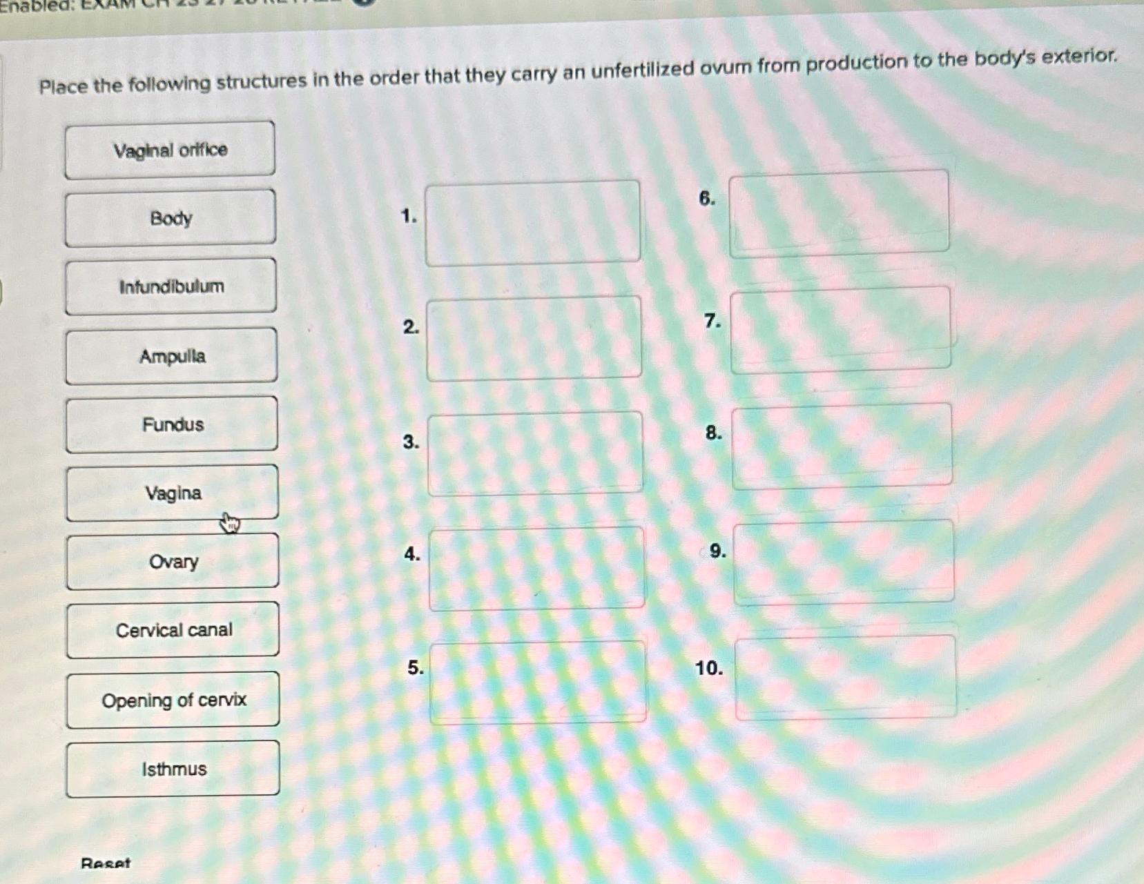 Solved Place the following structures in the order that they | Chegg.com