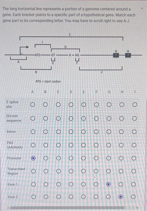 Solved The long horizontal line represents a portion of a | Chegg.com