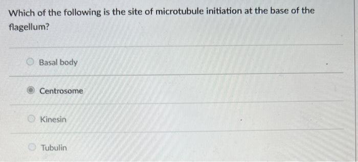 Solved Which of the following is the site of microtubule | Chegg.com